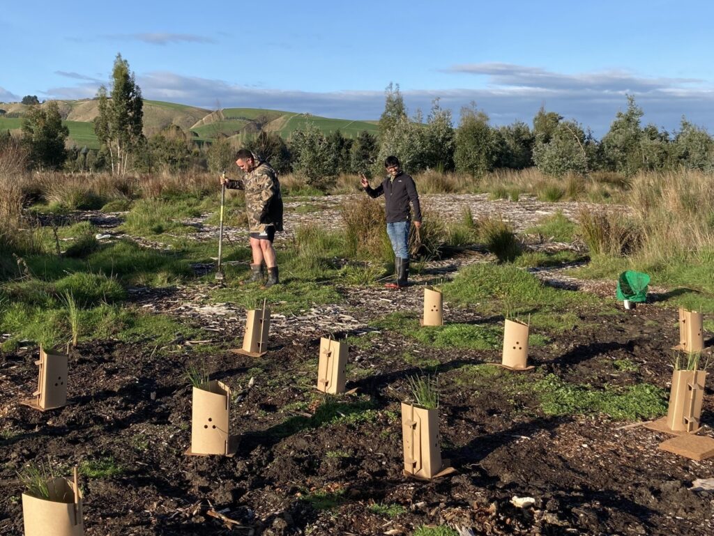 Helping Our Community – Native Planting at Hamilton Park – Mataura ...